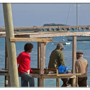 cony-island-shoot-2---omz-lenses | DPReview Forums