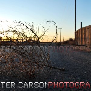 Tumbleweed | DPReview Forums
