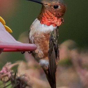 slt-a57 | Page 3 | DPReview Forums