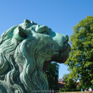 SAM_5987 | DPReview Forums