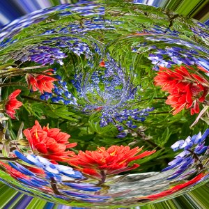 our-home | DPReview Forums