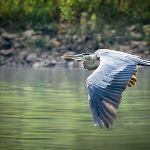 017 (2) | DPReview Forums