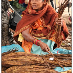 urisa | DPReview Forums