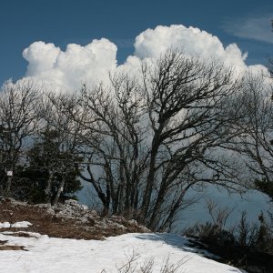 400D_11704 | DPReview Forums