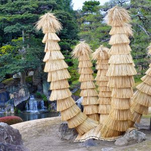 australia-12 | DPReview Forums