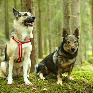 e-pl3 | DPReview Forums