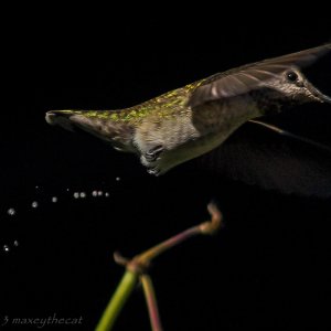 Oopsie! | DPReview Forums