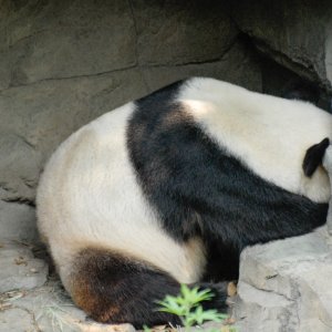 nap time | DPReview Forums