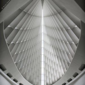 A Santiago Calatrava architectural masterpiece (black-and-white version) | DPReview Forums