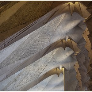 Lights & shadows | DPReview Forums