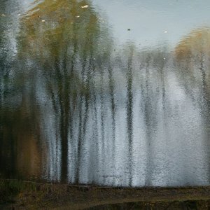 upside down | DPReview Forums