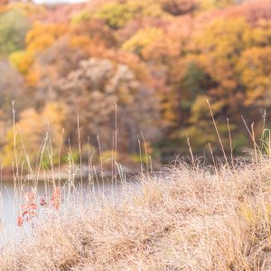 SAM_0347 | DPReview Forums