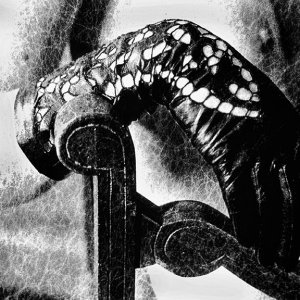 Terra C from Broadway- by Montreal Portrait Photographer Hera Bell | DPReview Forums