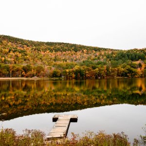 fall-folliage | DPReview Forums