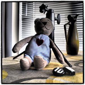 Bear & Pod #10 | DPReview Forums