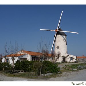 wind-mill | DPReview Forums