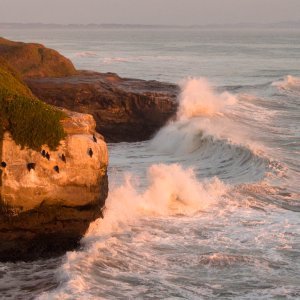 Bluffs with cormorants in Santa Cruz, CA | DPReview Forums