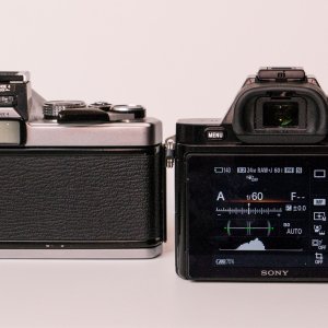 SAM_0232 | DPReview Forums