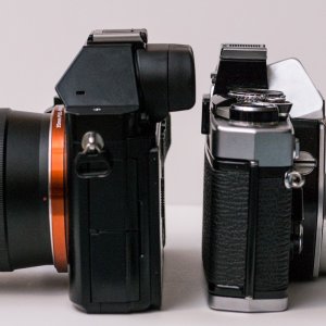 SAM_0232 | DPReview Forums