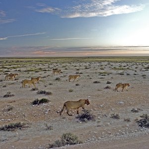 etosha | DPReview Forums
