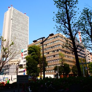 Sunshine 60 | DPReview Forums