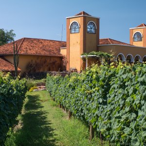 SAM_9047 SMC Takumar 35mm f3.5 | DPReview Forums