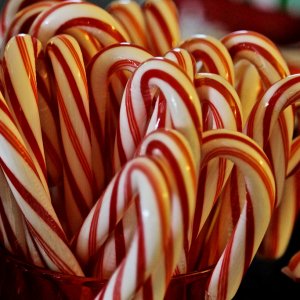 candy | DPReview Forums