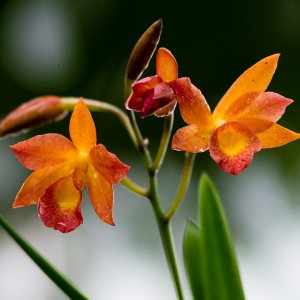 135-stf | Page 2 | DPReview Forums