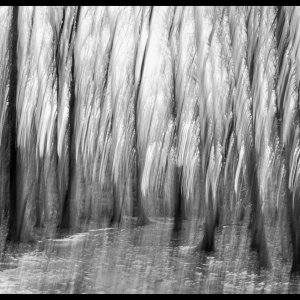 tamron-28-300-xr-di-if | DPReview Forums