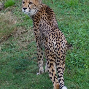 busch-gardens | DPReview Forums