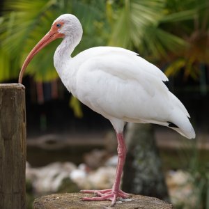 busch-gardens | DPReview Forums