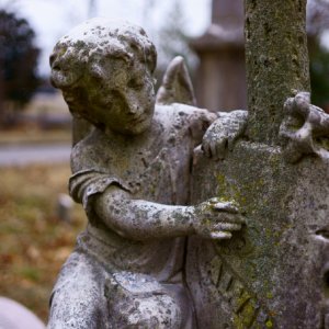 Old Gray Cemetery, Knoxville, TN | DPReview Forums