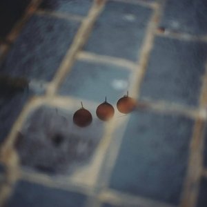 935151_10152017880654315_785970507_n | DPReview Forums