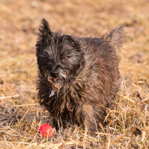 2014_02_15_0010 | DPReview Forums