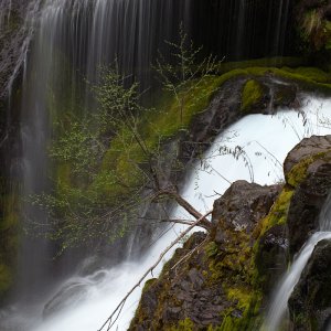 Panther Creek Falls #2 | DPReview Forums