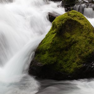 big-creek | DPReview Forums