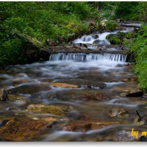 proda | DPReview Forums