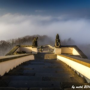 proda | DPReview Forums