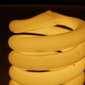 Compact fluorescent bulb | DPReview Forums