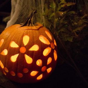 iso-12800 | DPReview Forums