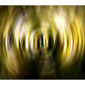 motion-10 | DPReview Forums