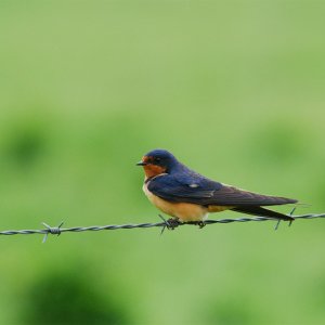 basw161 | DPReview Forums