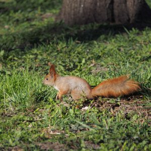 olympus-mzd-40-150 | DPReview Forums