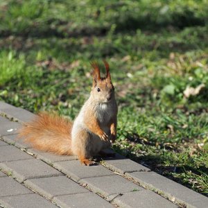 olympus-mzd-40-150 | DPReview Forums