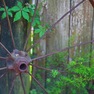 4S8A0318-copy_edited-1 | DPReview Forums