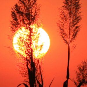 4S8A0318-copy_edited-1 | DPReview Forums