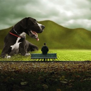 snail | DPReview Forums