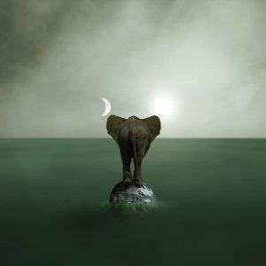 snail | DPReview Forums