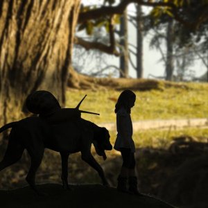 snail | DPReview Forums