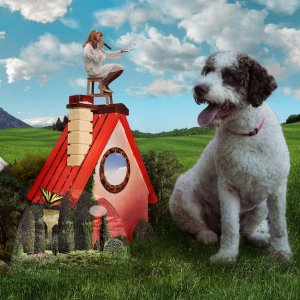 Wonderland | DPReview Forums